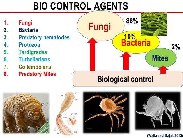Biological control – Quantum Agriculture